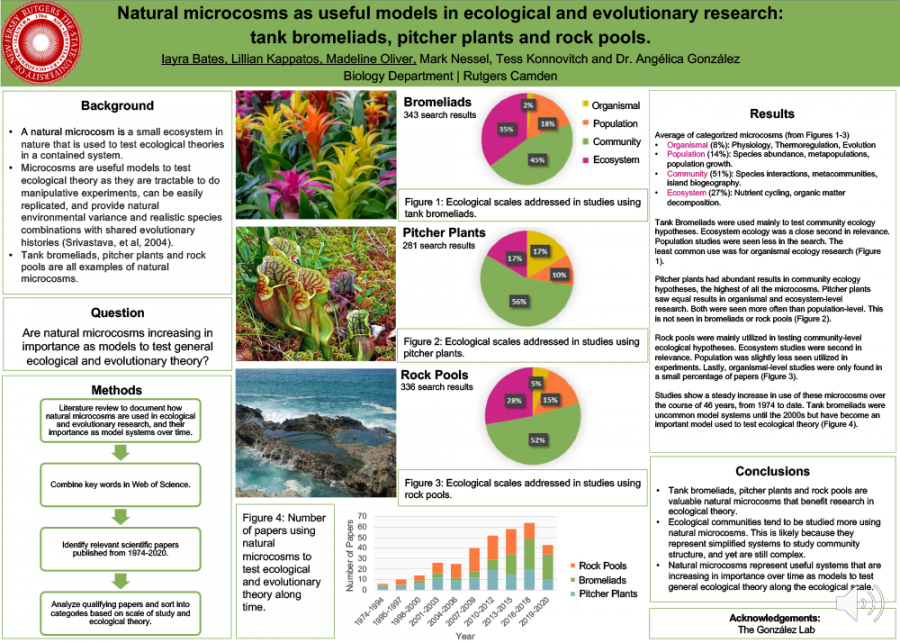 Natural microcosms as useful models in ecological and evolutionary ...
