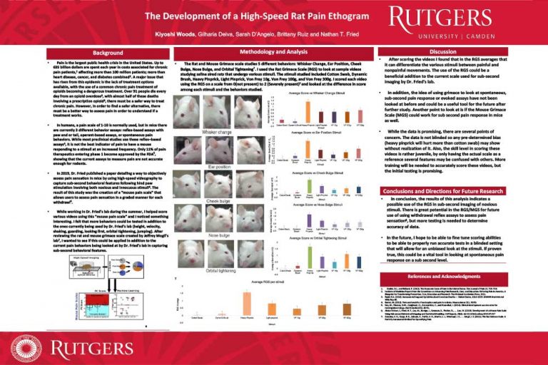 The development of a high-speed rat pain ethogram – Department of Biology