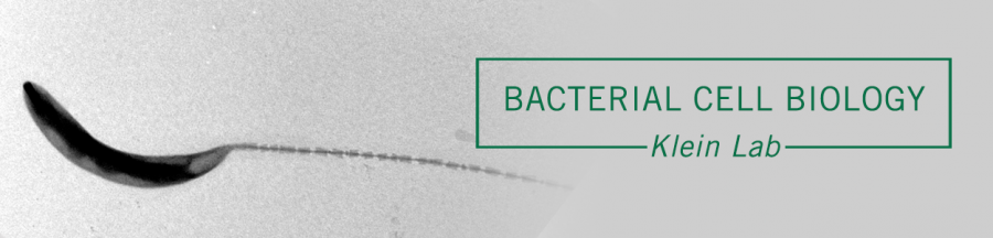 Department of Biology