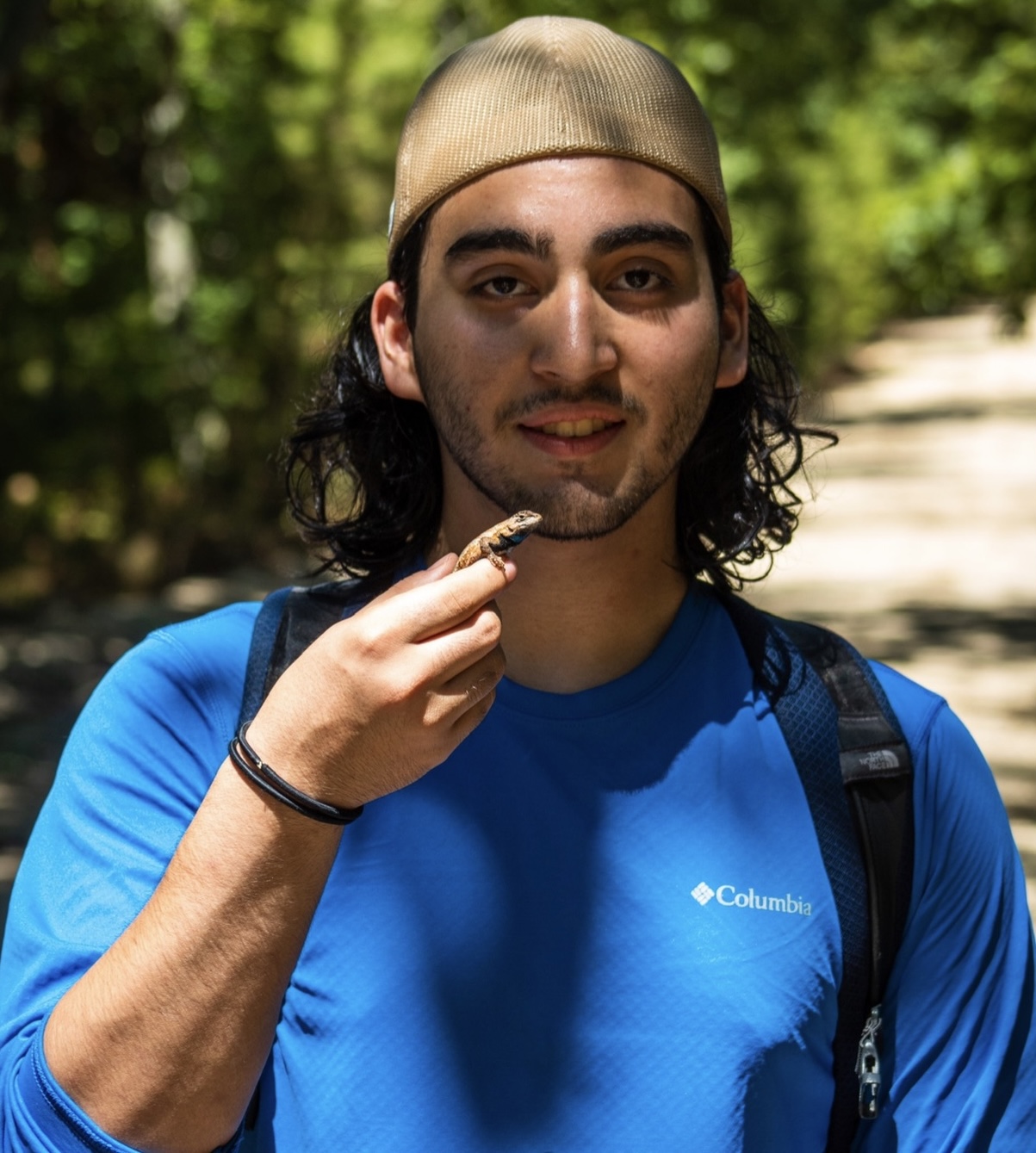 Evolutionary Genetics of Invasive Cuban Knight Anole Populations ...