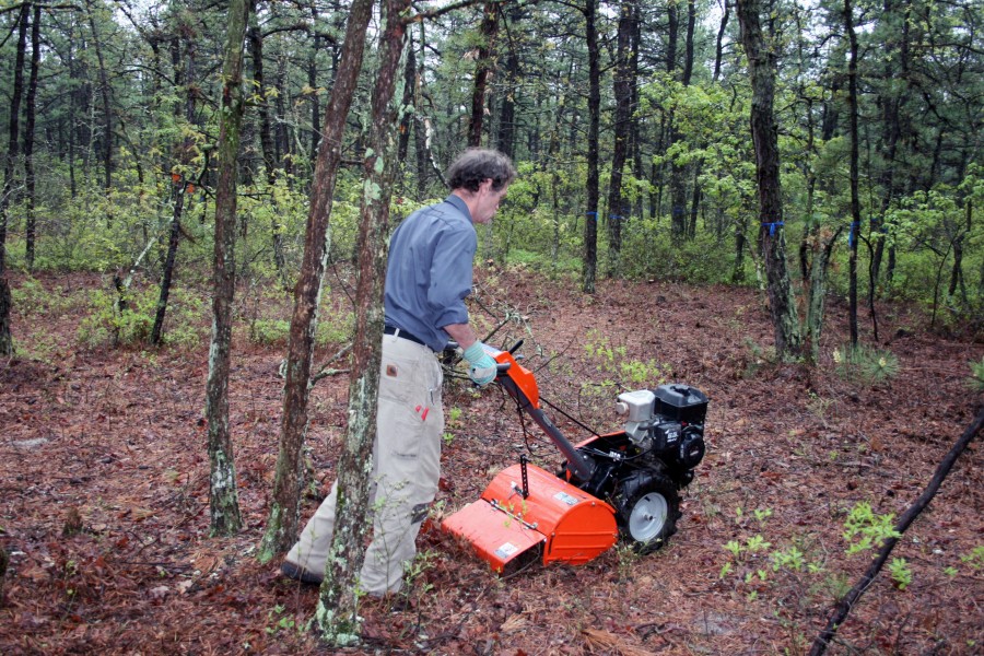 John Dighton – Department of Biology